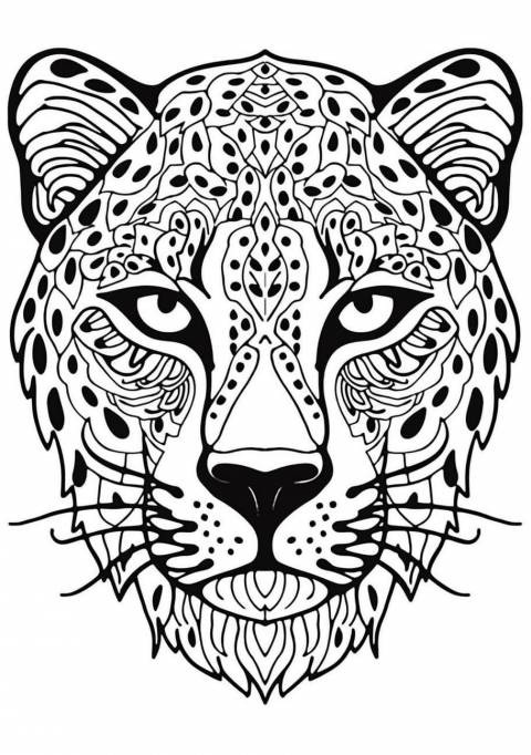 Cheetah — Coloring Pages: Free & Printable