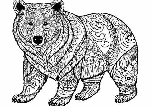 Bear — Coloring Pages: Free & Printable