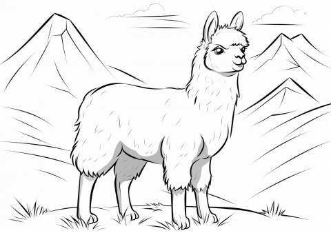 Alpaca — Coloring Pages: Free & Printable
