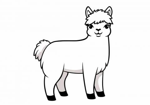 Alpaca — Coloring Pages: Free & Printable