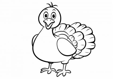 Turkey — Coloring Pages: Free & Printable